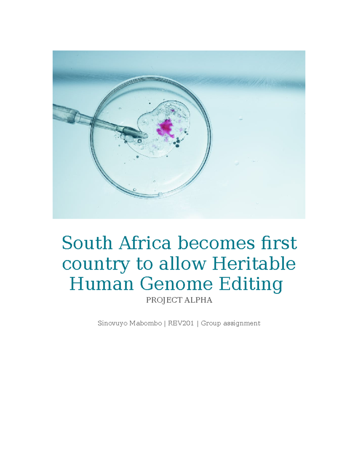 SUSTAINABILITY ANALYSIS OF NDOH IN SOUTH AFRICA ON HHGE PROJECT ALPHA ...
