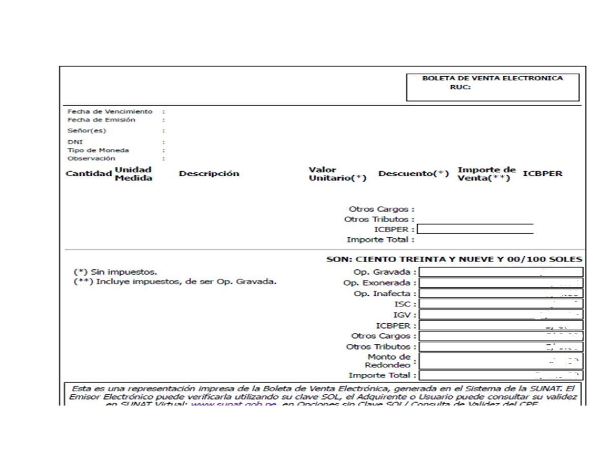 Formato de Boleta de Venta - Guia Completa para su Uso - Studocu