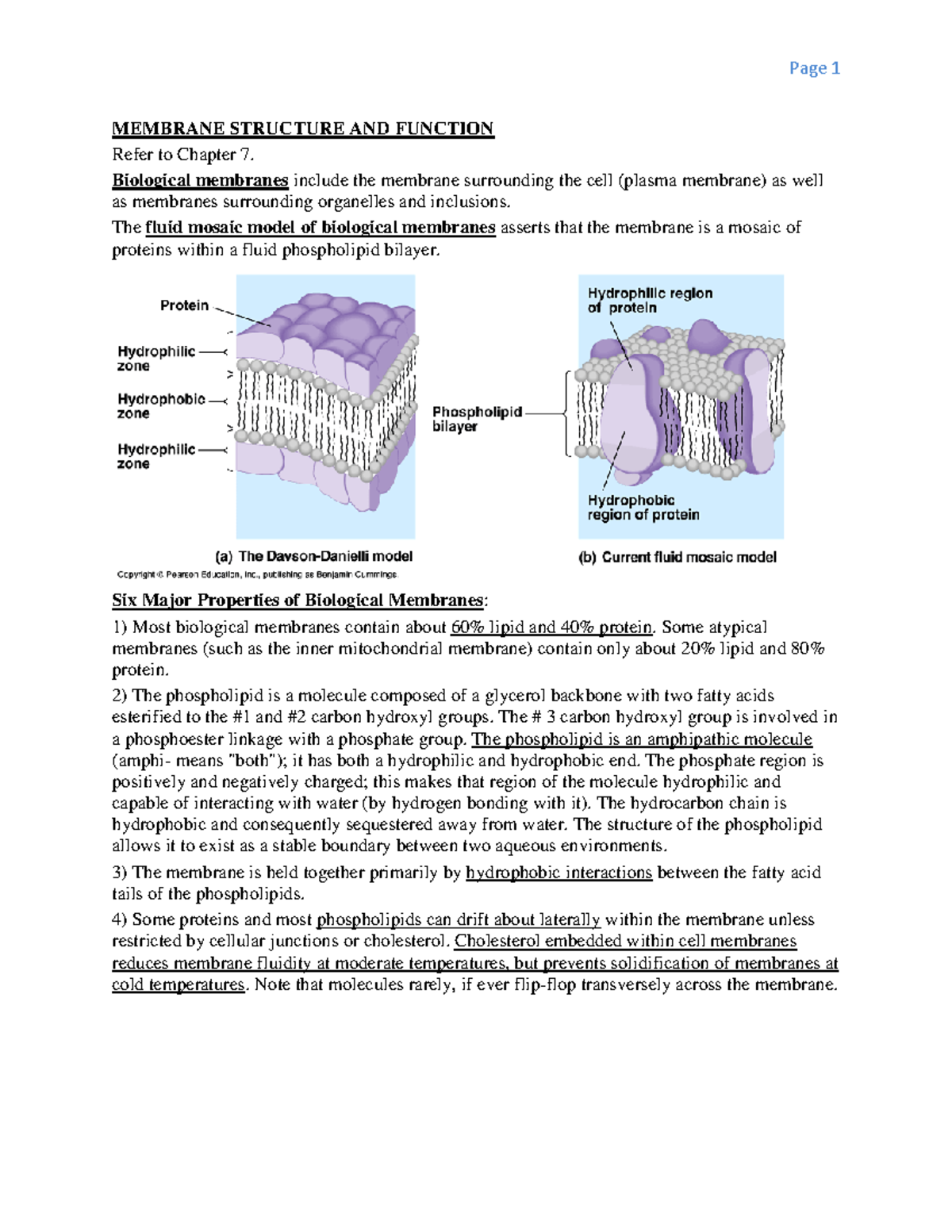 Membrane Structure and Function Overview (BIO 101) - Studocu