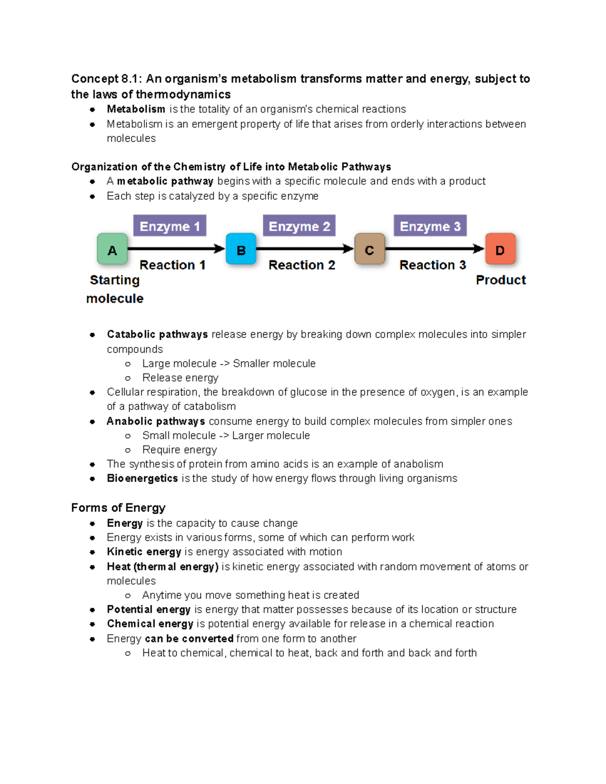 AP Biology: Energy Transformation & Metabolic Pathways Notes - Studocu