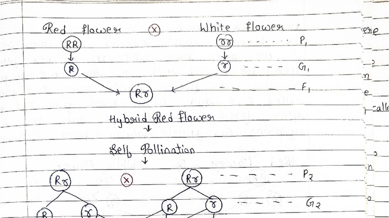 Chapter 5: Mendelian Genetics and Flower Hybridization (Biology 101) - Studocu