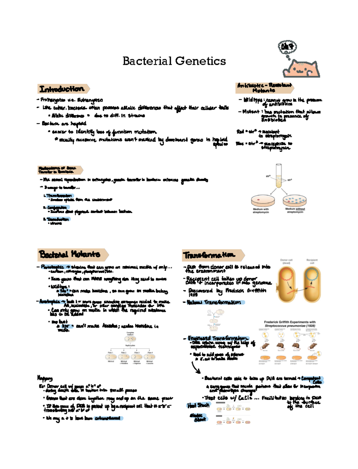 Bacterial 🦠 🧫 Genetics - Complete notes with slide images - Bacterial ...