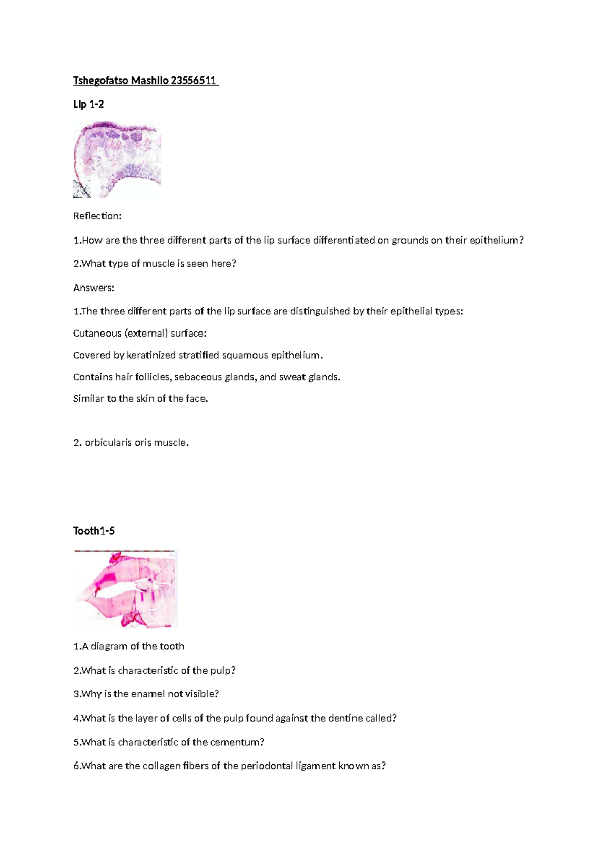 ANA 226 GIT Practical - Lip and Gland Histology Notes - Studocu