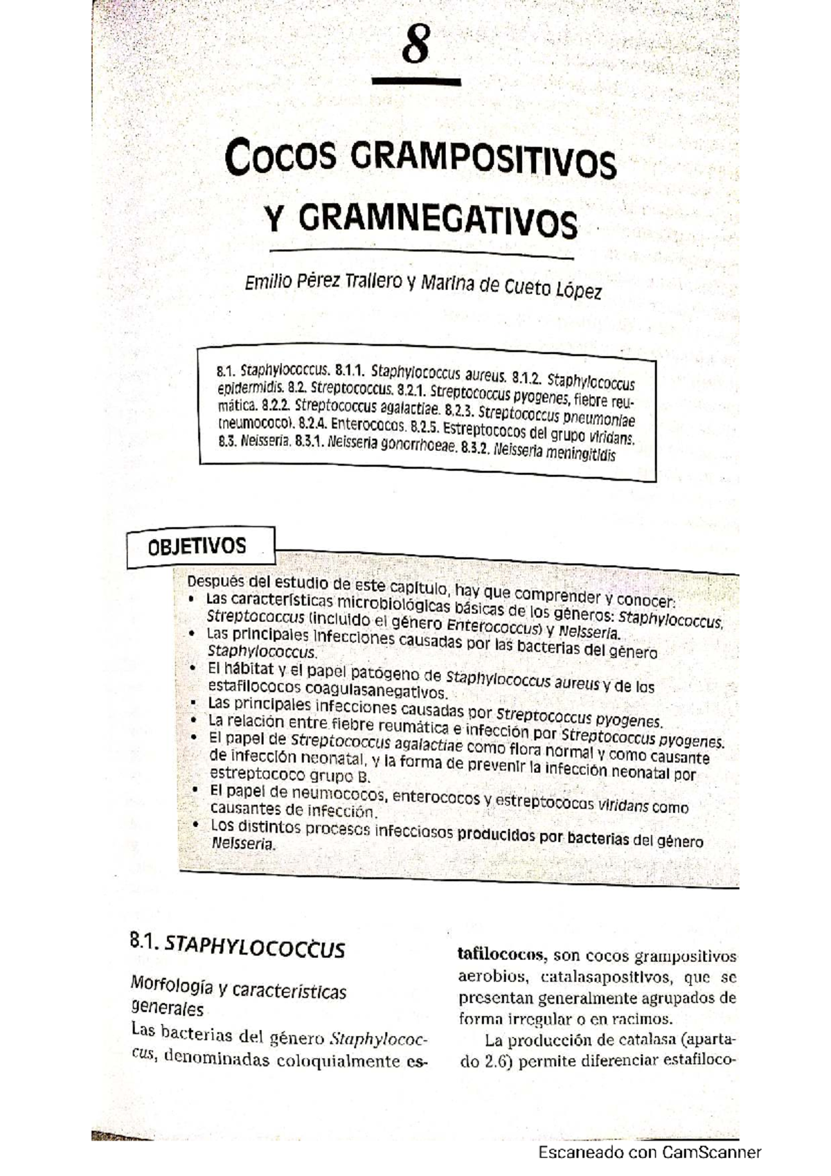8 Cocos Grampositivos y Gramnegativos: Estudio de Staphylococcus, Streptococcus - Studocu