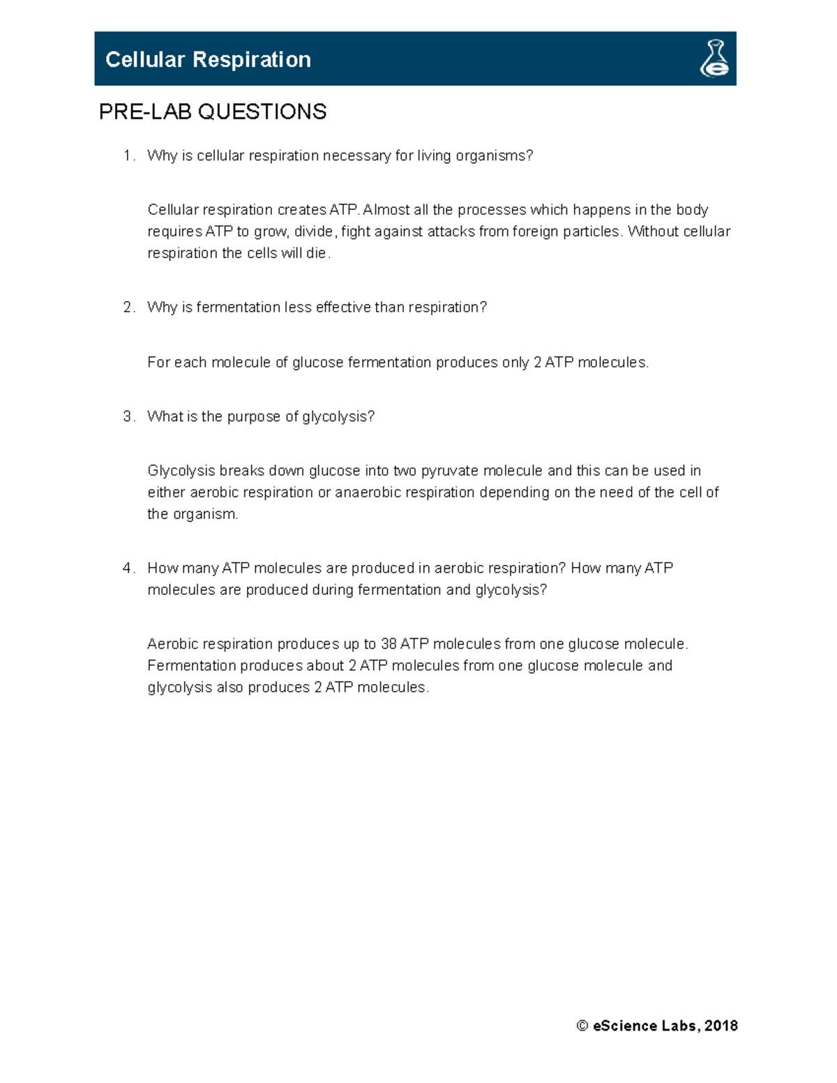 Cellular Respiration Lab: Exploring Fermentation & Aerobic Respiration ...