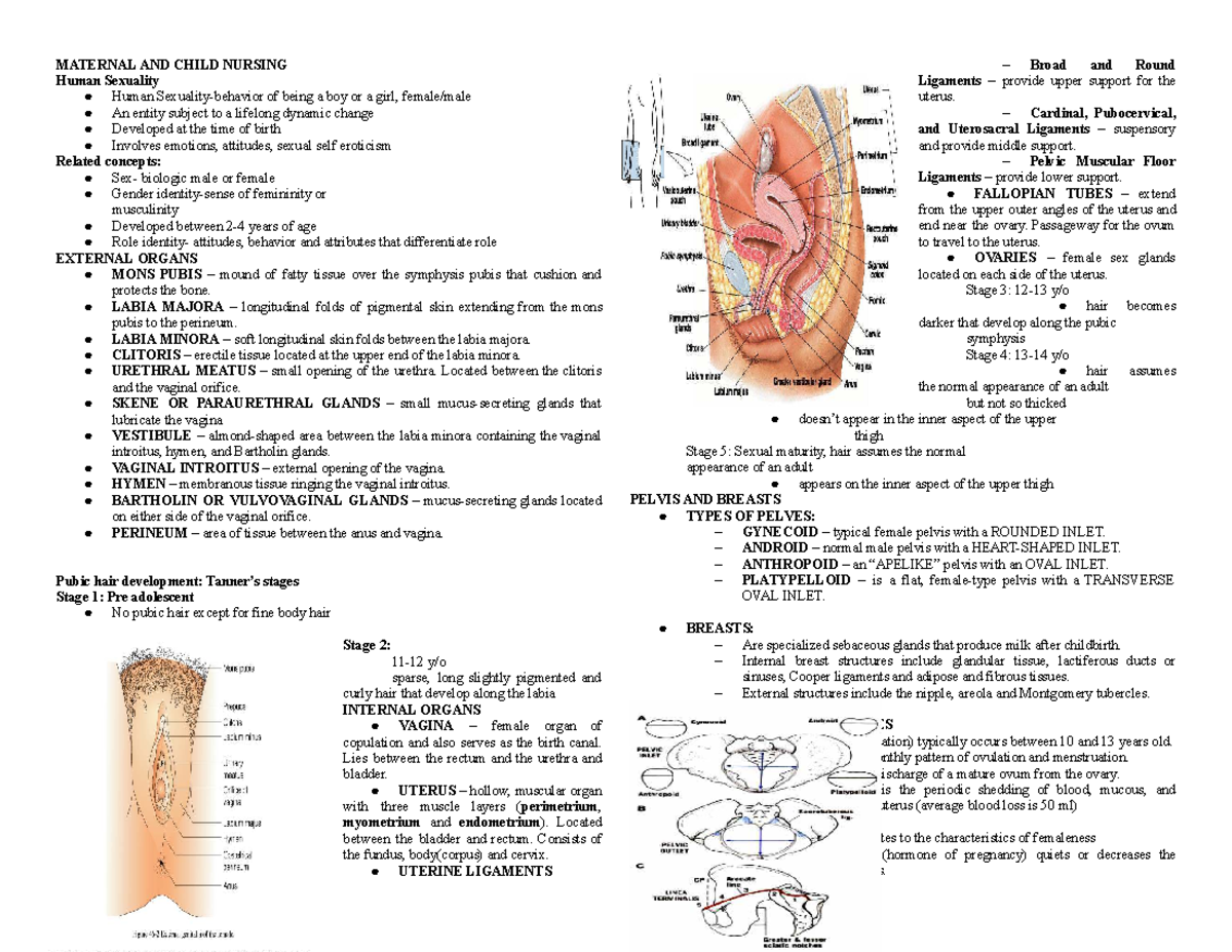 Maternal & Child Nursing: Human Sexuality and Development Overview ...