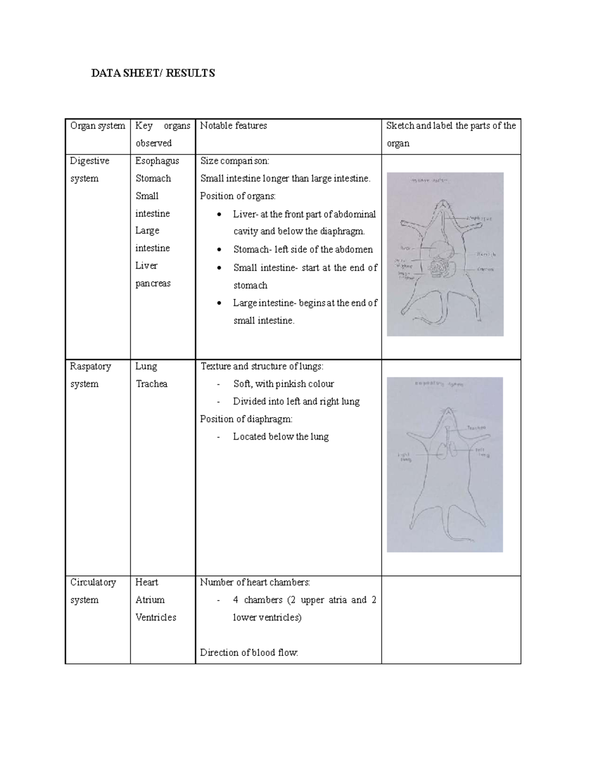 Bio270 Final Exam: Organ Systems and Key Features Overview - Studocu