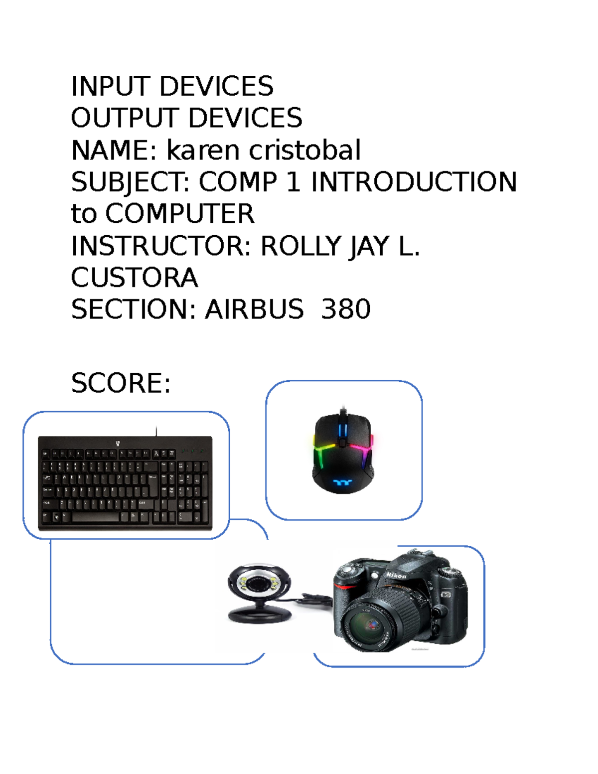 Name And Output Devices Of Computer