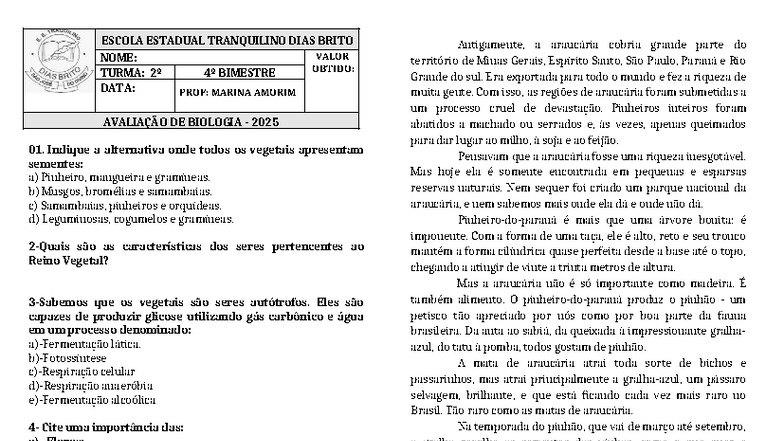 Avaliação DO Reino Vegetal - 2º ANO Biologia - Indique a alternativa ...