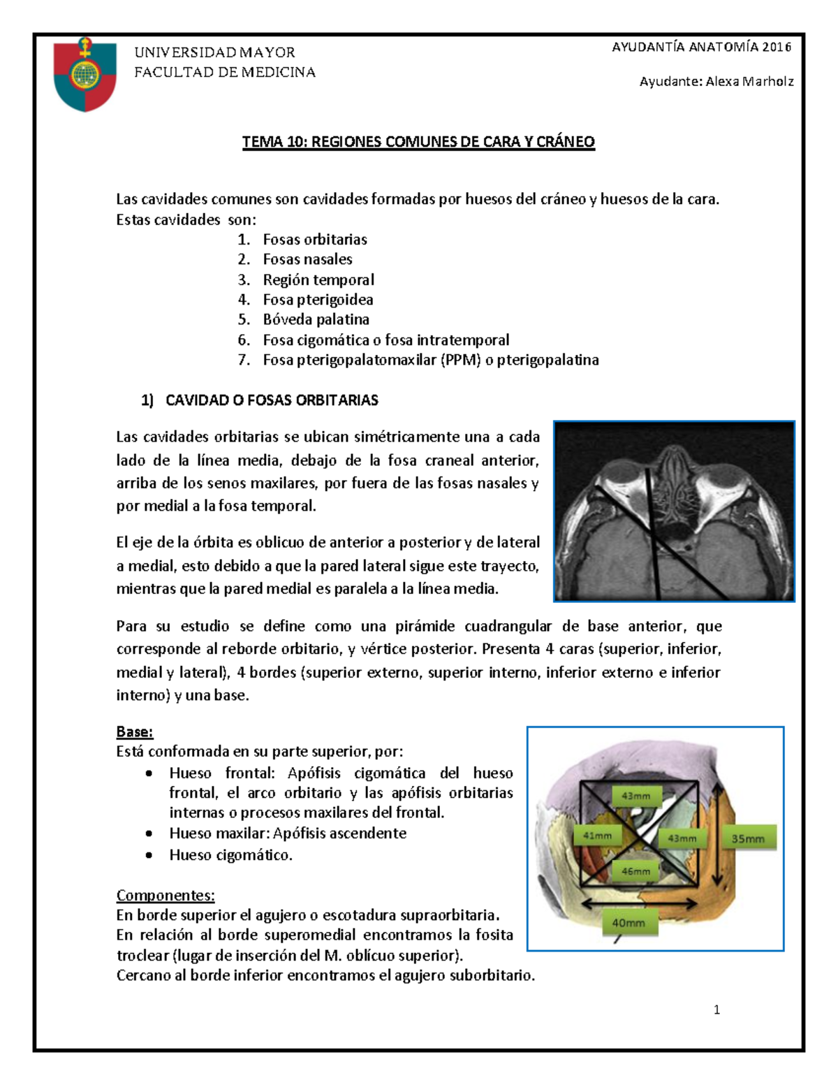 Tema 7 Regiones Comunes de Cara y Cráneo - UNIVERSIDAD DE Alexa 10 ...