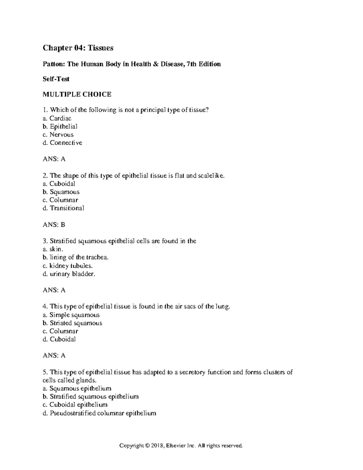 Chapter 004 - Tissues Practice Test and Self-Assessment - Studocu
