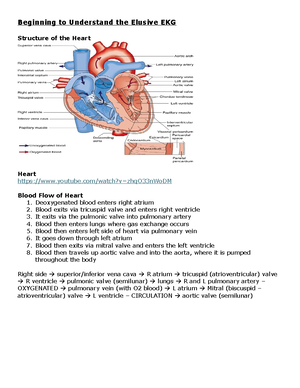 Understanding Heart Blocks: Types, Causes, and Treatments (MED123 ...