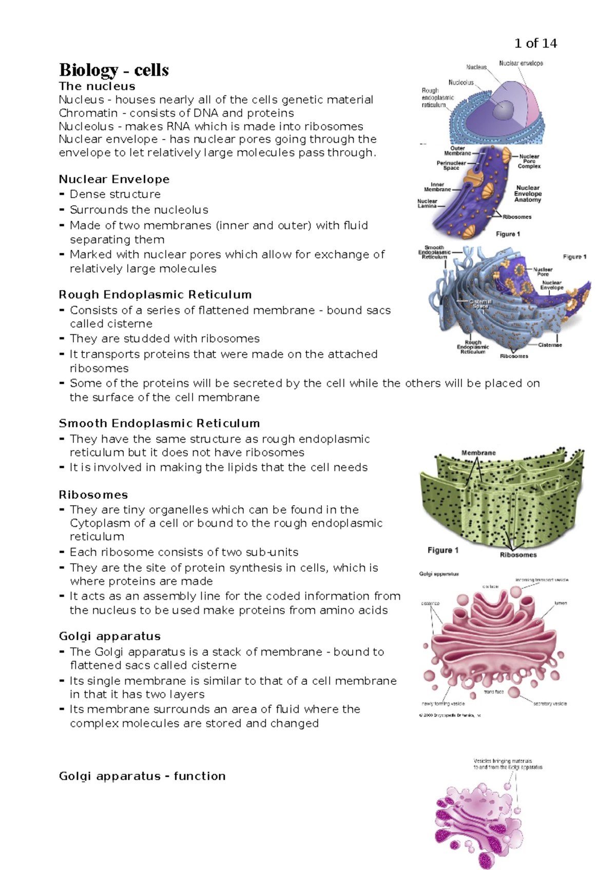 Unit 1 Revision Guide Erseres Btec Applied Science Unit 1 Revision Guide Get Started How To