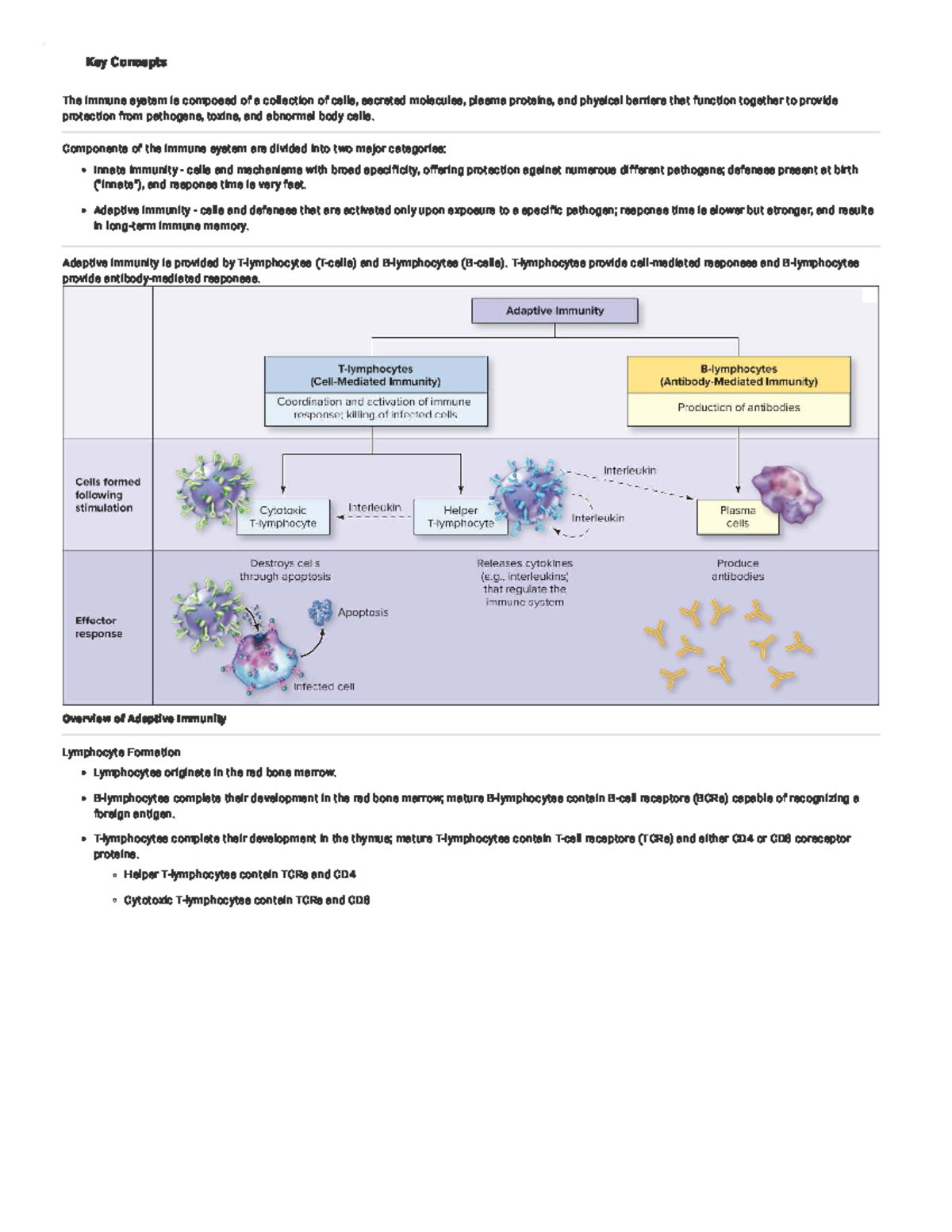 Key Concepts of Immunology: Innate and Adaptive Immunity - Studocu