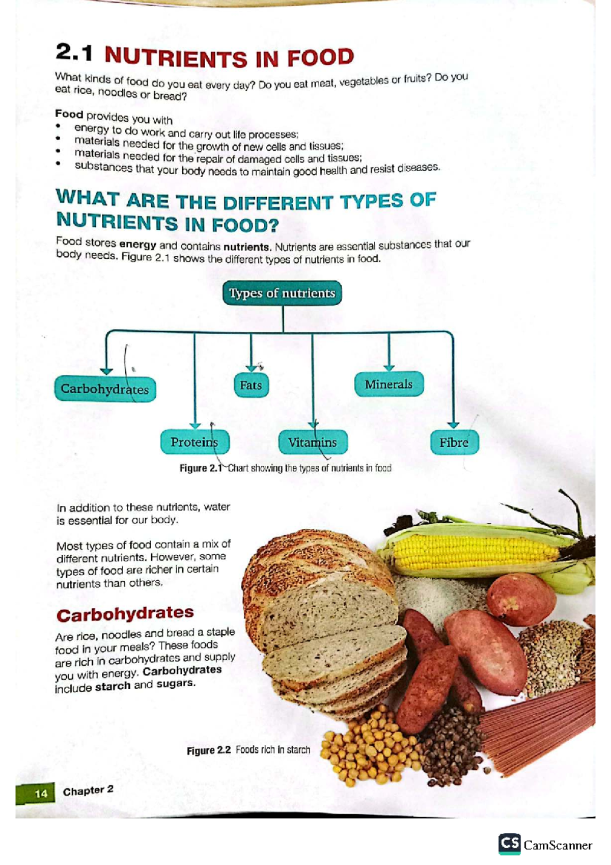 Chapter 2: Nutrients in Food - CS Science Notes - Studocu