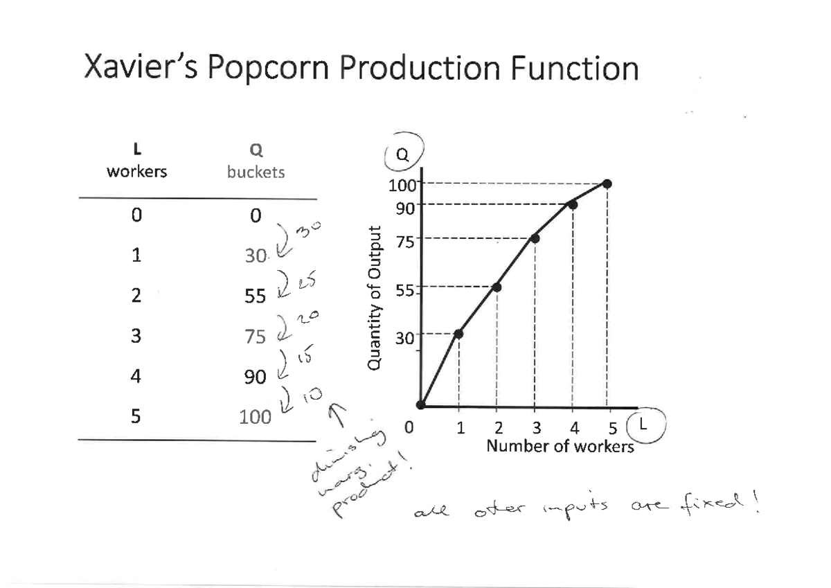 Ch. 19 & 20 Lecture Notes: Popcorn Production Function & Labor ...
