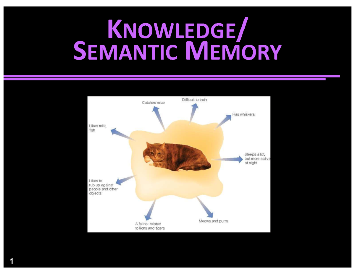 Lecture Notes: Semantic Memory and Connectionism - Studocu
