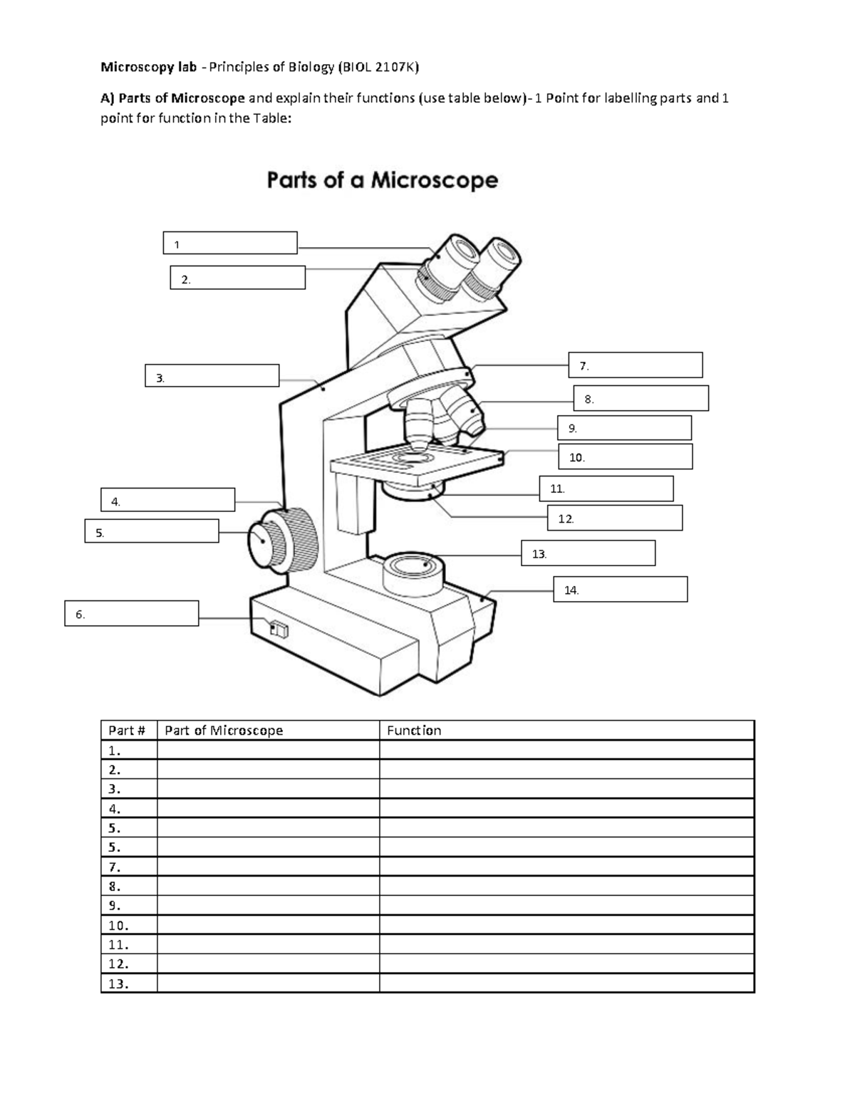 Microscopy Lab Report: Understanding Microscope Functions (BIOL 2107K ...