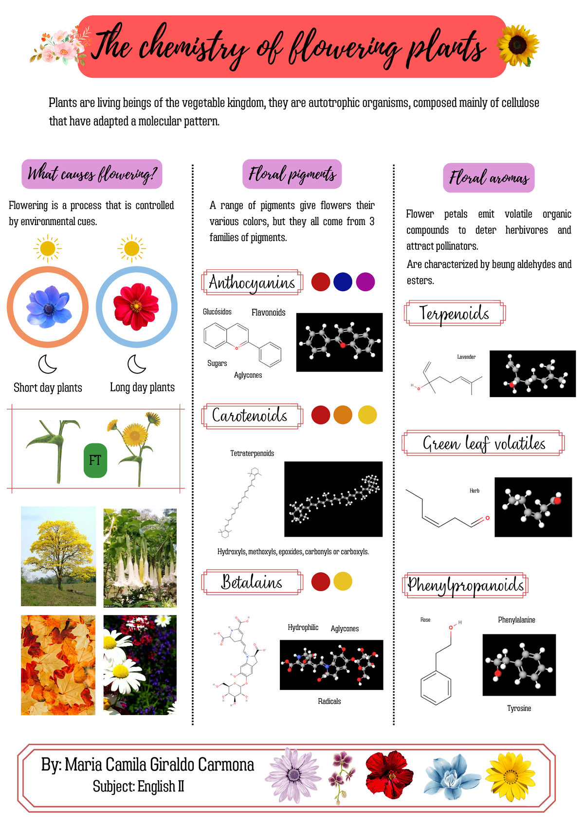Infographic the chemistry of flowering plants (1) - The chemistry of ...