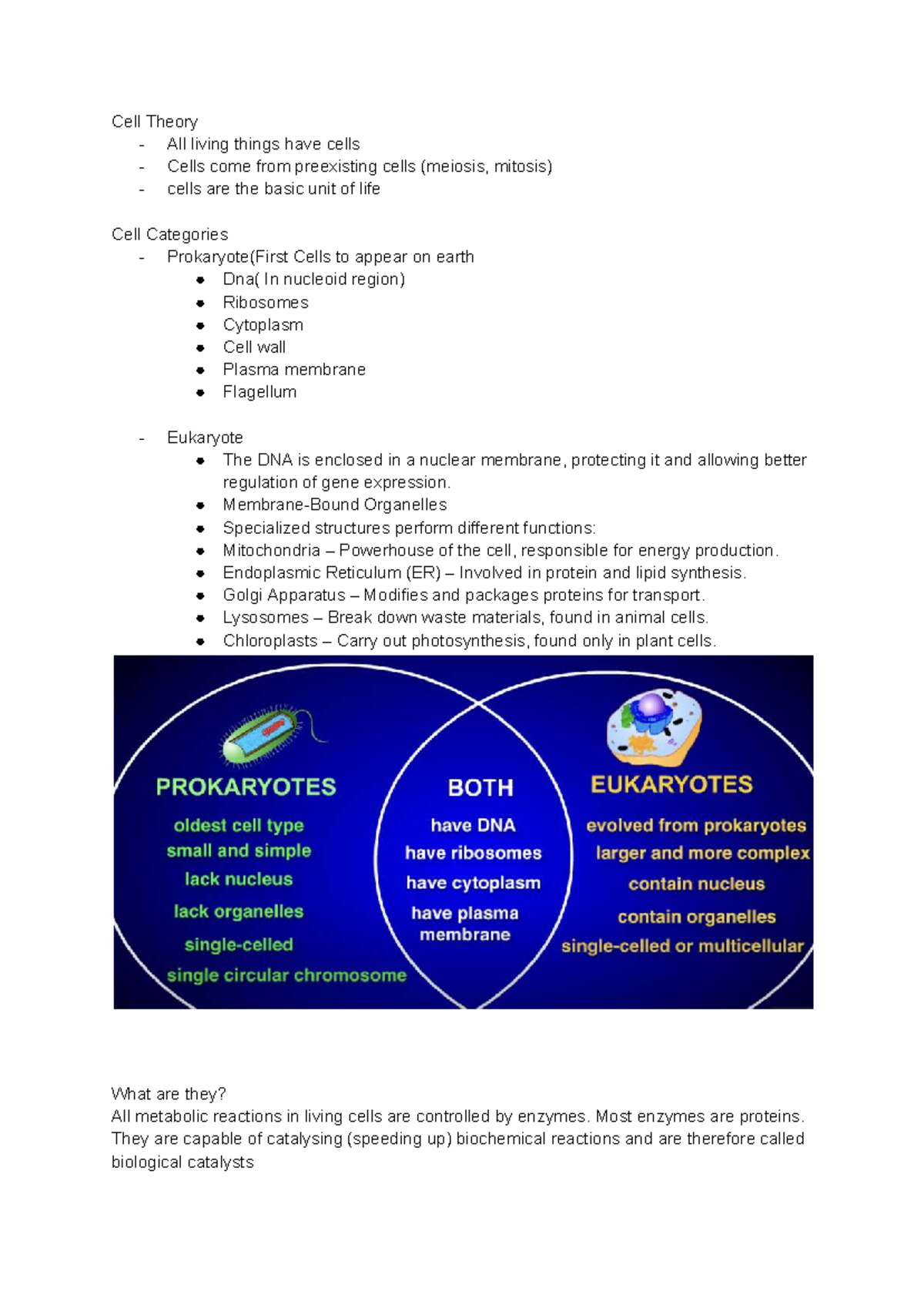 Biology Notes: Cell Theory & Organelles Overview - Studocu