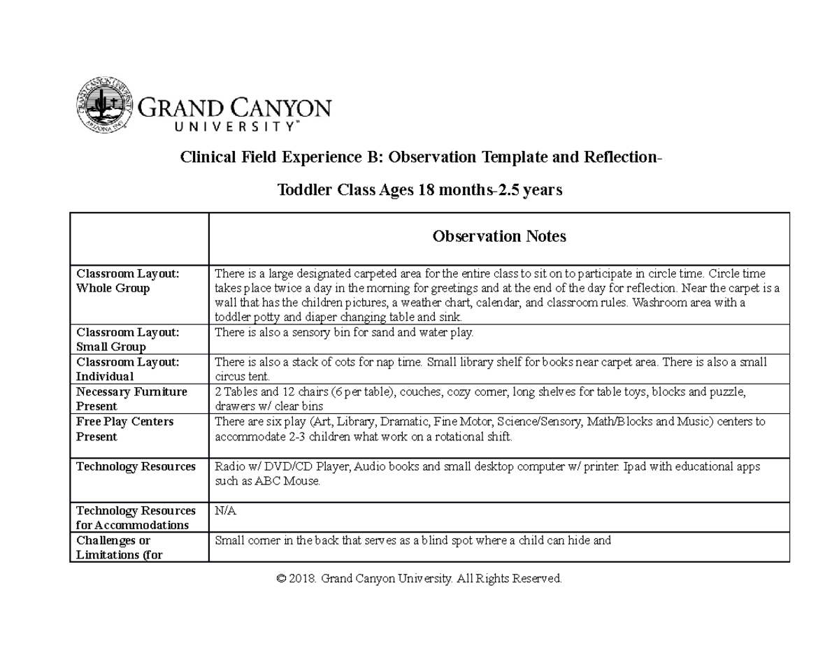 ECE 220 D T3 CFE Observation Form - Clinical Field Experience B ...