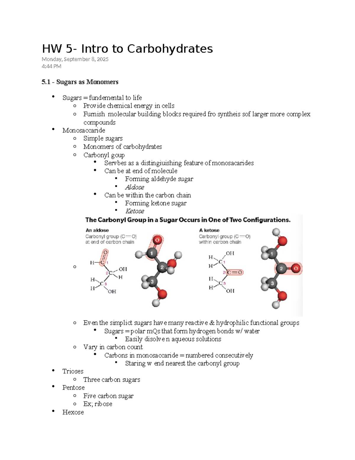 HW: Introduction to Carbohydrates - Structure, Function, and Importance ...