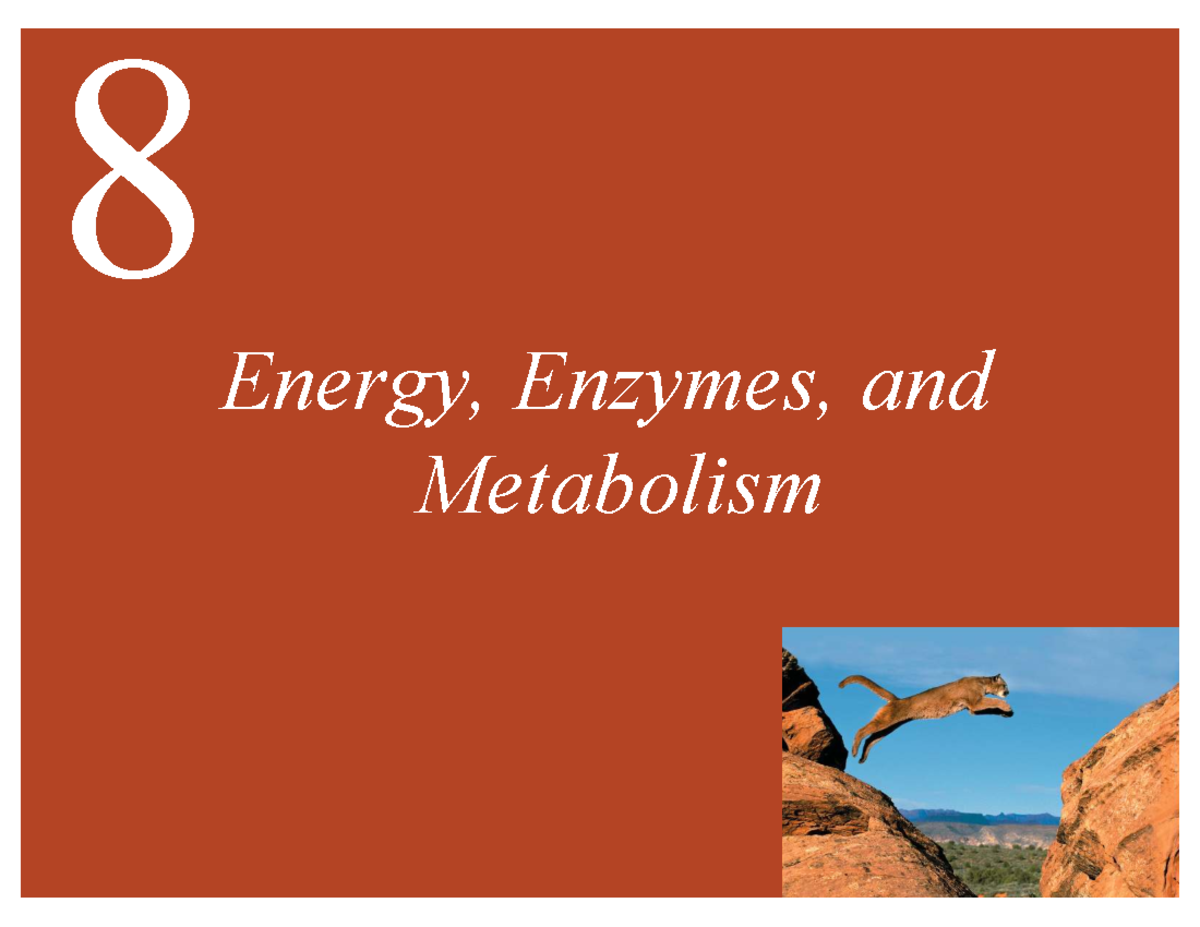 Lecture 9: Energy, Enzymes, and Metabolism in Living Cells - Studocu