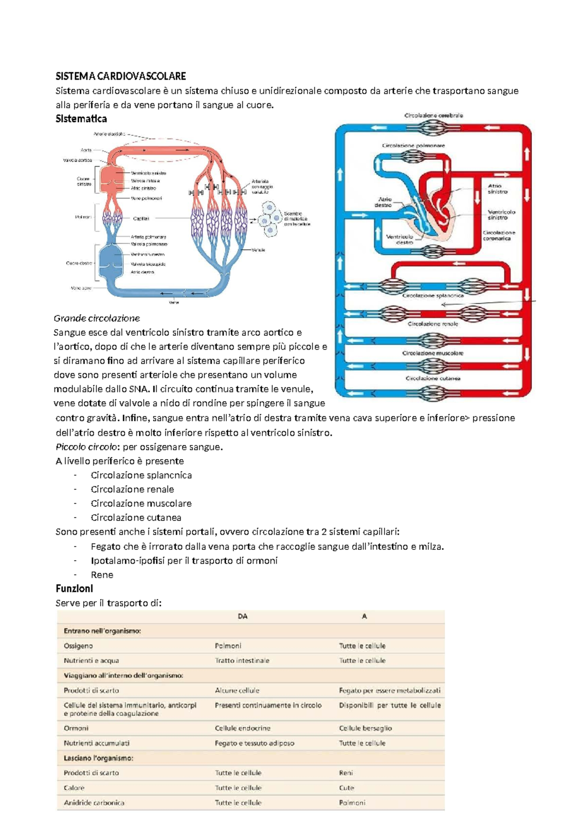 SISTEMA CARDIOVASCOLARE: Vasi e Pressione Arteriosa - Appunti 13° - Studocu