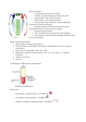 [Solved] What transport process uses the energy stored in an Na or H ...
