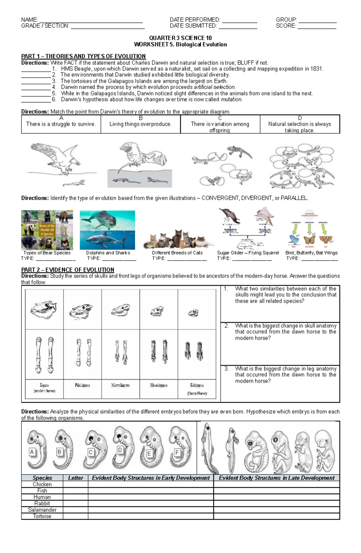 Q3-SCI10-WS05: Biological Evolution Theories & Evidence Worksheet - Studocu