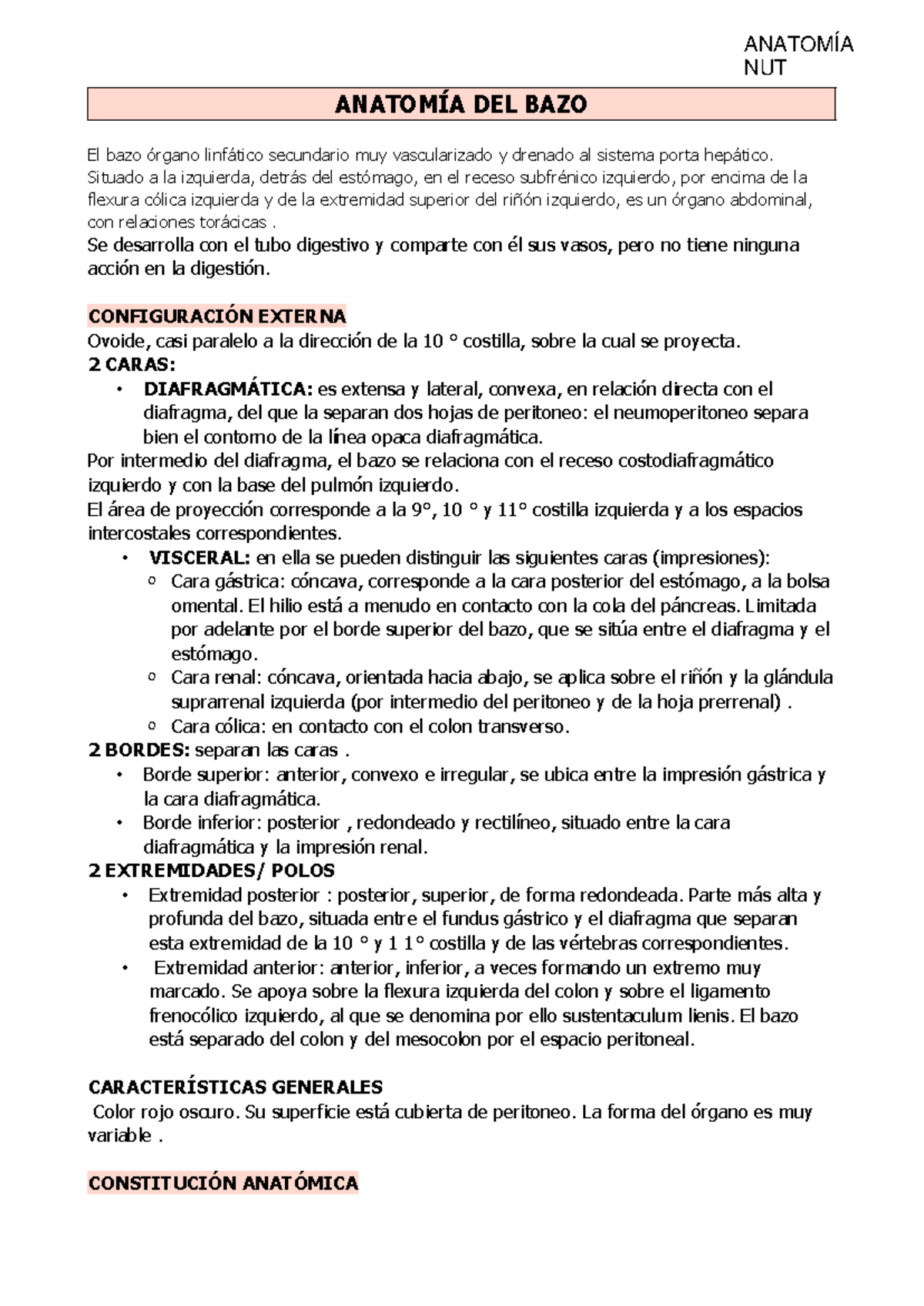 Anatomía del bazo - Anatomia del bazo- nutricion - ANATOMÍA DEL BAZO El ...