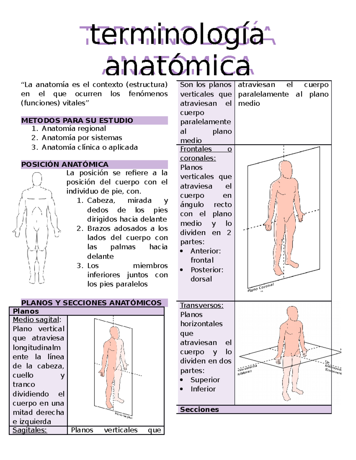 Terminología Anatómica: Estudio de Posición y Planos del Cuerpo - Studocu