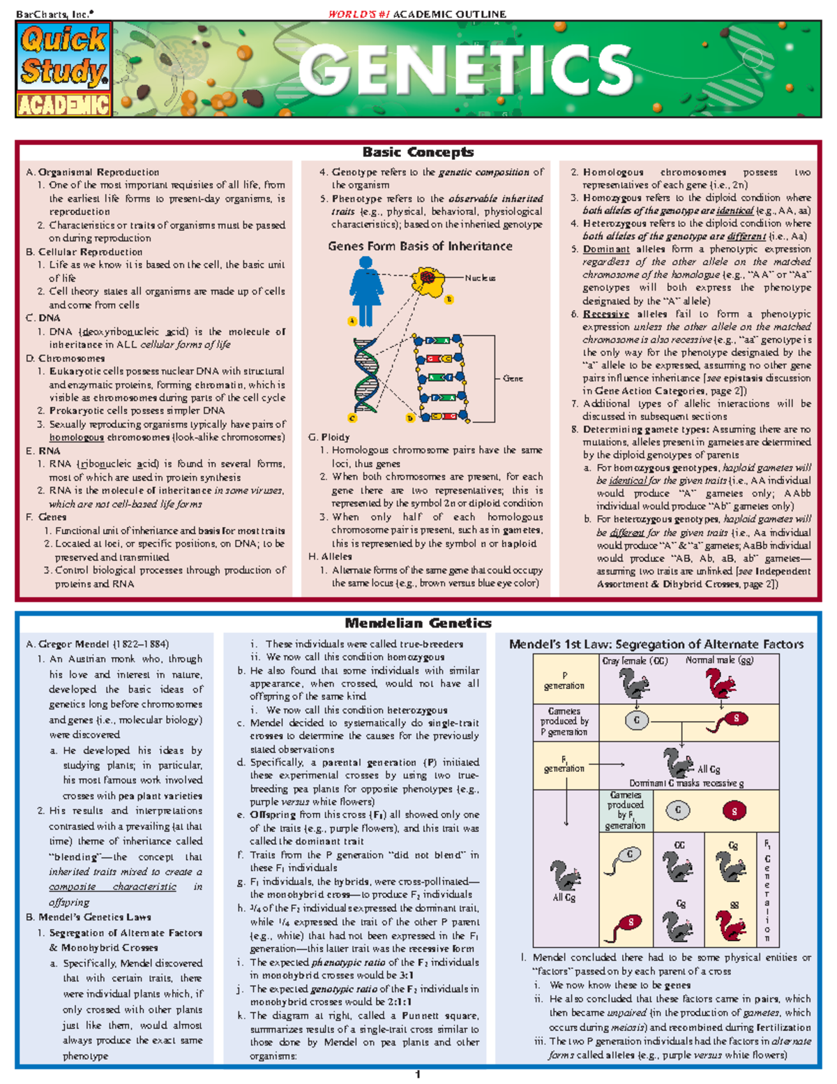 Genetics - Study Guide Summary - BarCharts, Inc.® WORLD’S #1ACADEMIC ...
