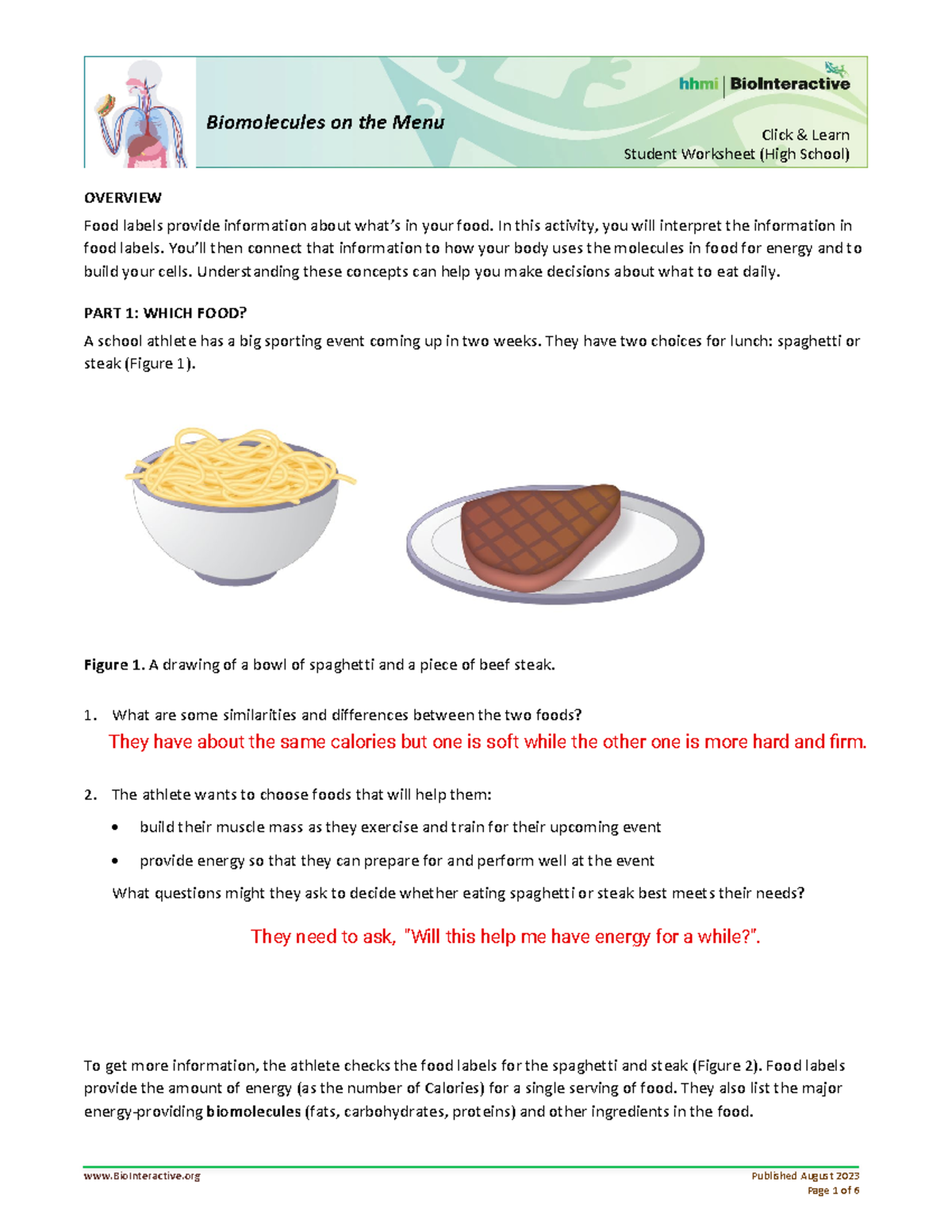 Biomolecules on the Menu: Student Worksheet for HS Biology (Grade 9-12 ...
