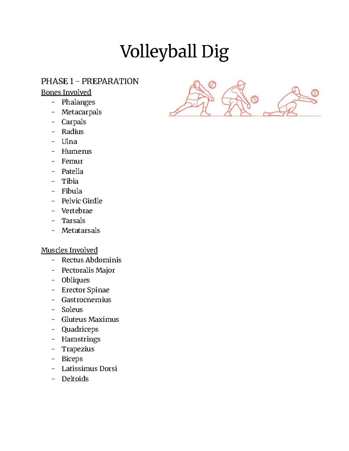 Biomechanics Depth Study: Volleyball Dig Phases & Joint Actions - Studocu