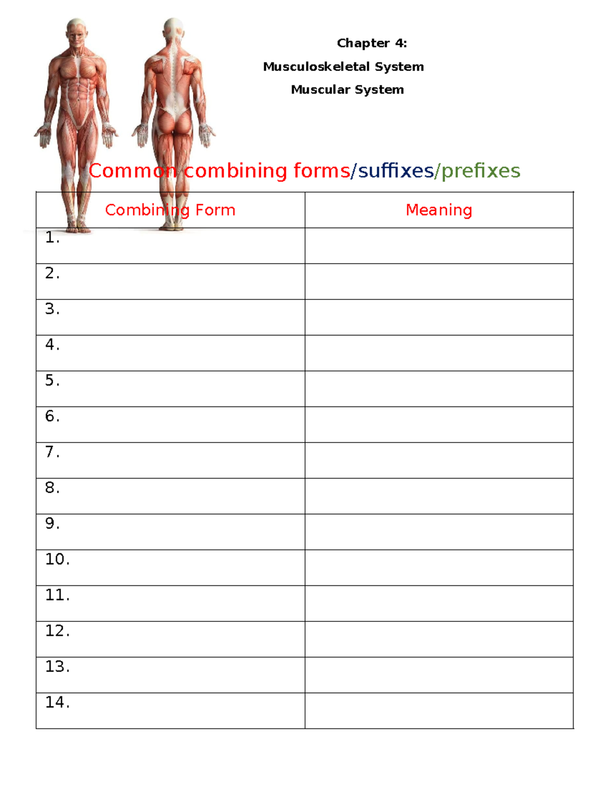 Chapter 4 Common Combining Forms - Chapter 4: Musculoskeletal System ...