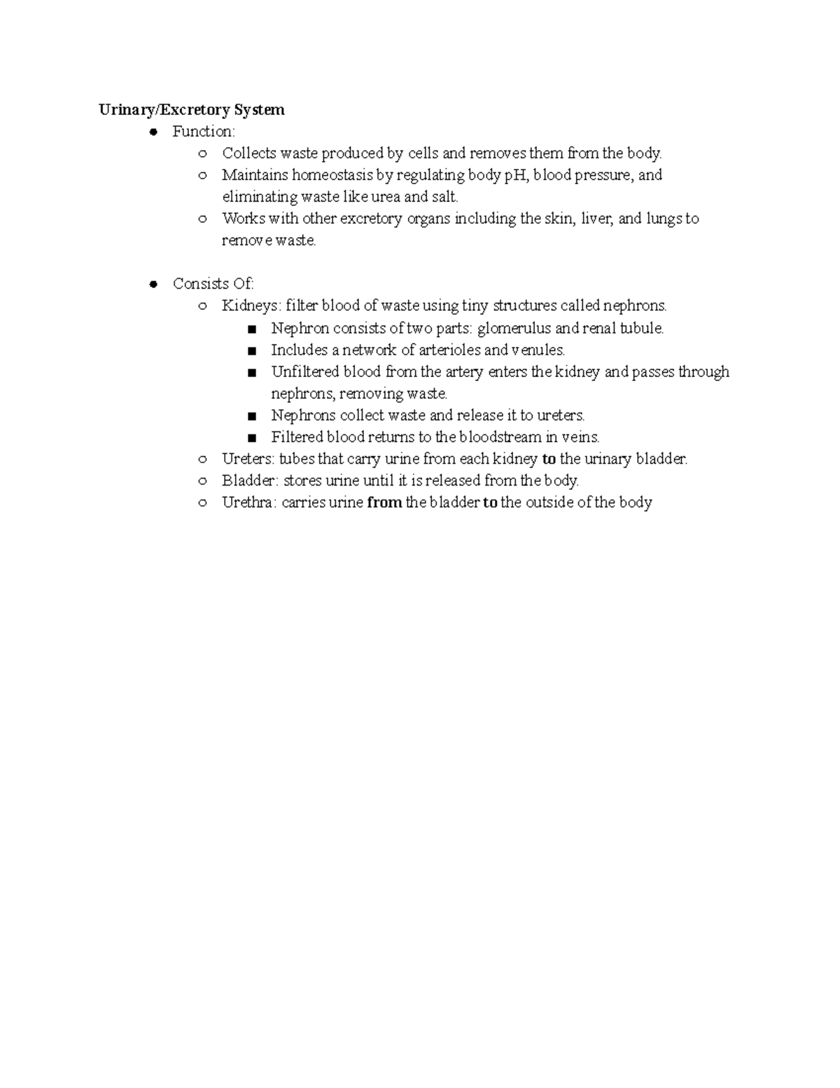 Biology Review: Urinary/Excretory System Function and Structure ...