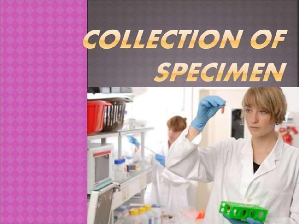 Urine Specimen Collection Guidelines for ASUHA 7.5 Exam - Studocu