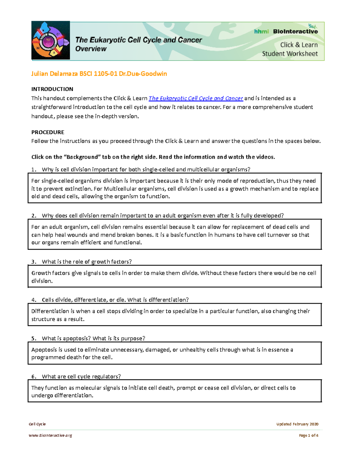 HHMI Cell Cycle and Cancer Overview Worksheet - Julian Delamaza BSCI ...