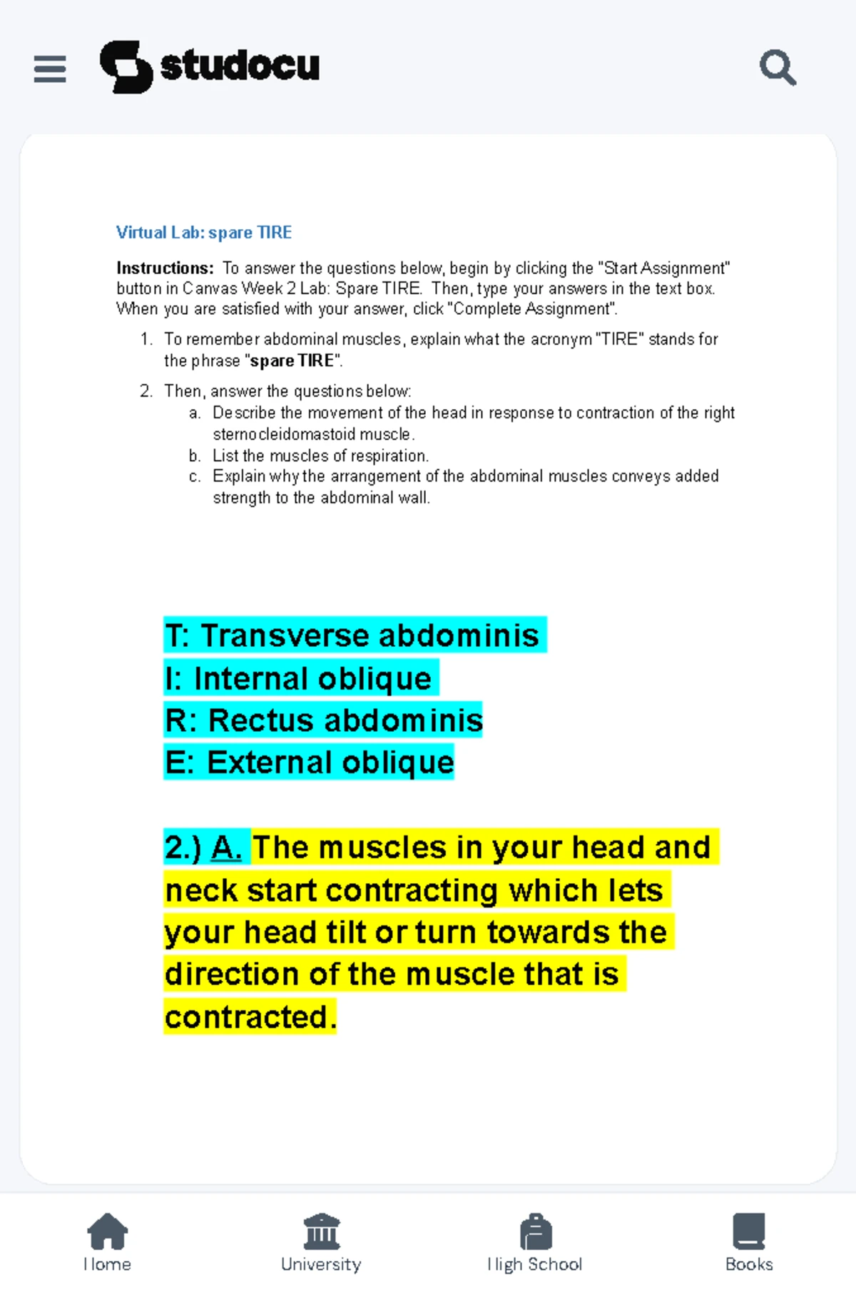 Week 2 Assignment: Musculoskeletal System Overview (HLT 101) - Studocu