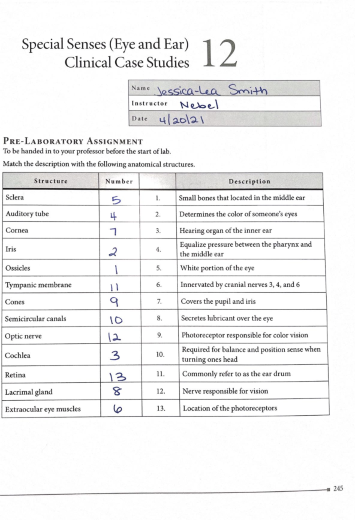 A&P LAB 12 - ISBN:9780578546131 - Special Senses (Eye and Ear) Clinical ...