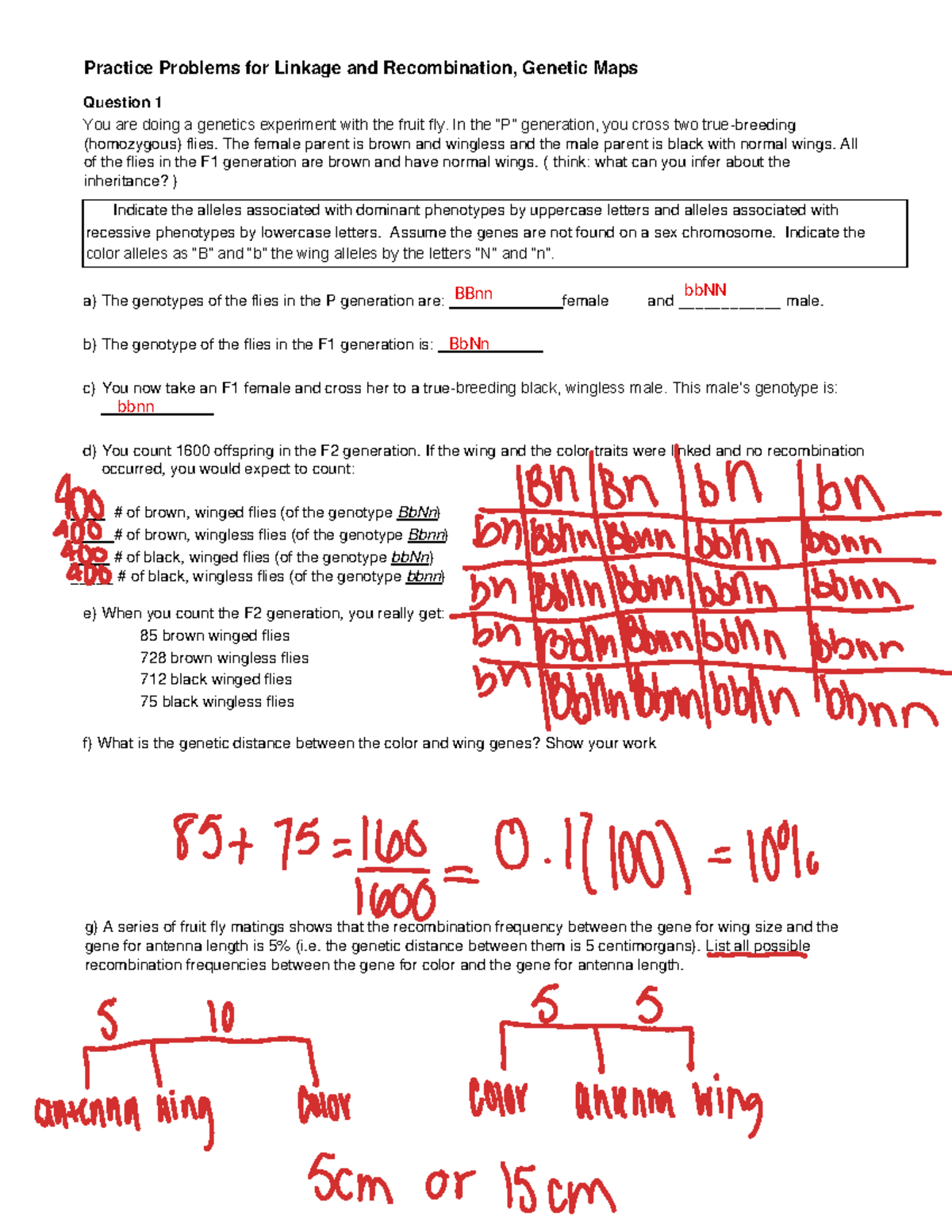 Genetics Linkage Problems: Practice Questions and Solutions - Studocu