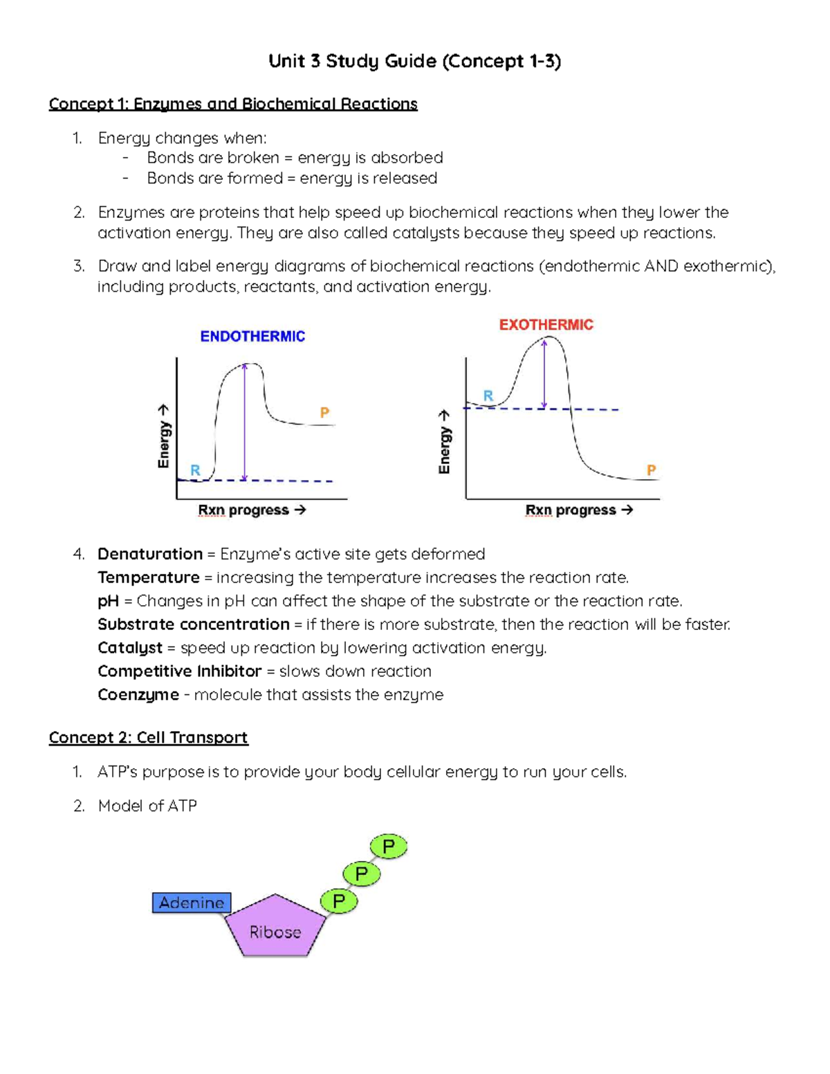 KEY - Unit 3 Study Guide (Concepts 1-3): Enzymes & Cell Transport - Studocu