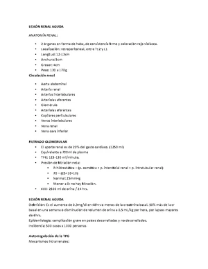 Bula Neumonil Forte Comprimidos: Indicaciones y Advertencias - Studocu