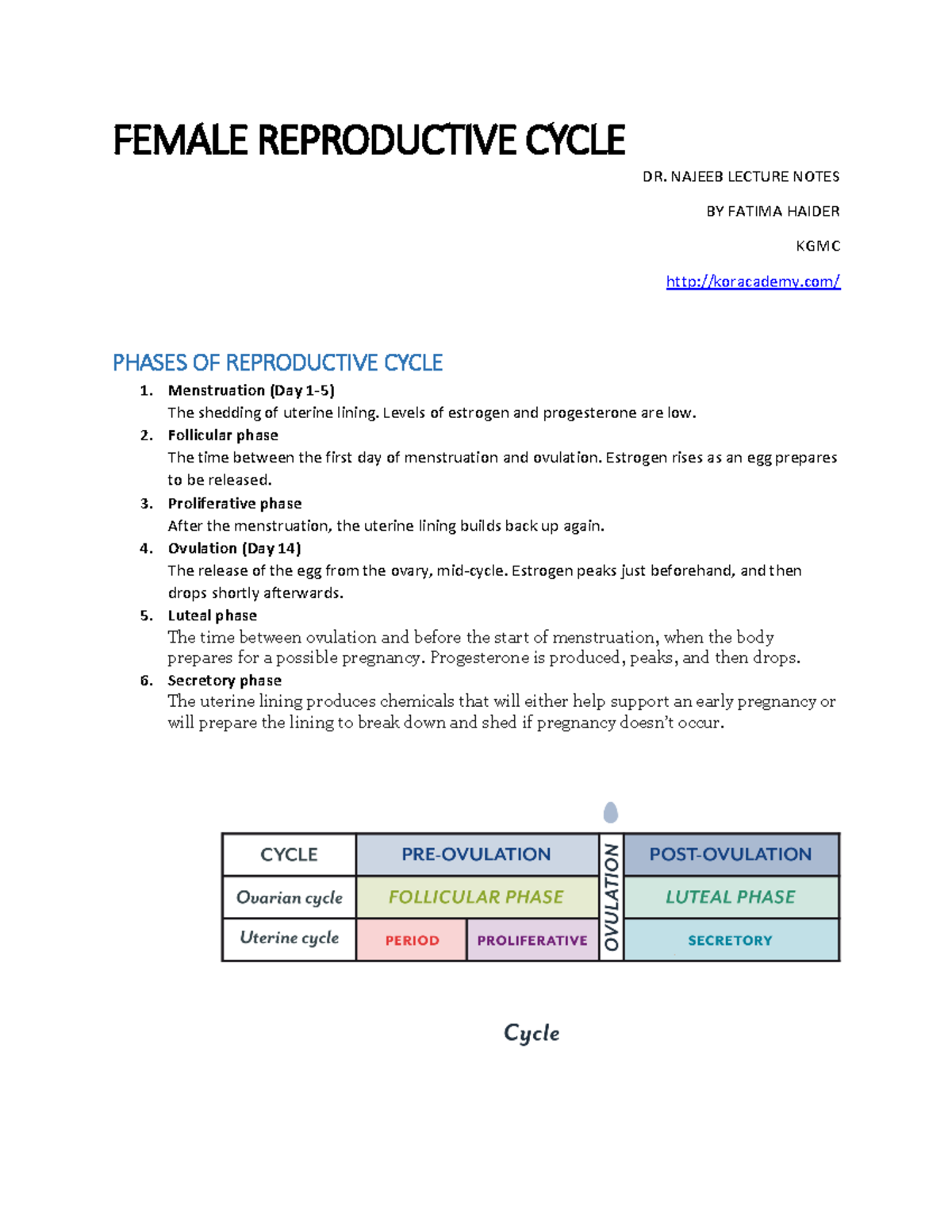 03 - Final Exam Notes on Female Reproductive Cycle by Dr. Najeeb - Studocu