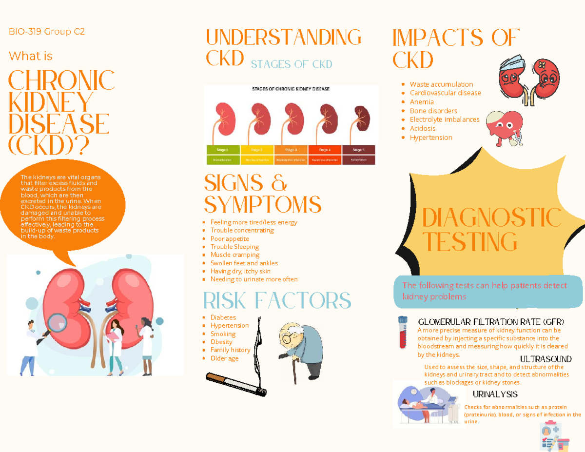 Group C2 brochure on chronic kidney disease (CKD) and its impacts - Studocu