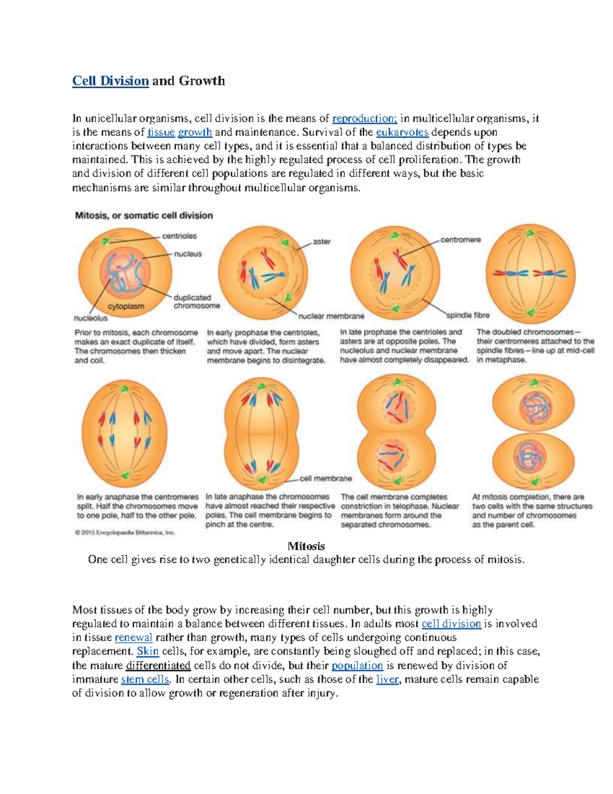 Cell Division & Growth in Multicellular Organisms - Bio 101 Exam Notes ...