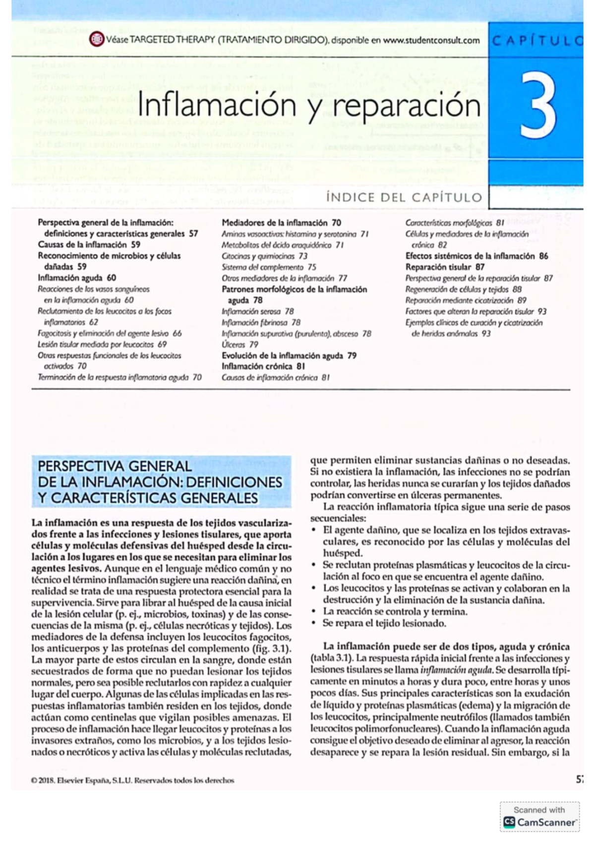 Capítulo 3: Inflamación y Reparación - Terapia Dirigida (TARGETED THERAPY) - Studocu