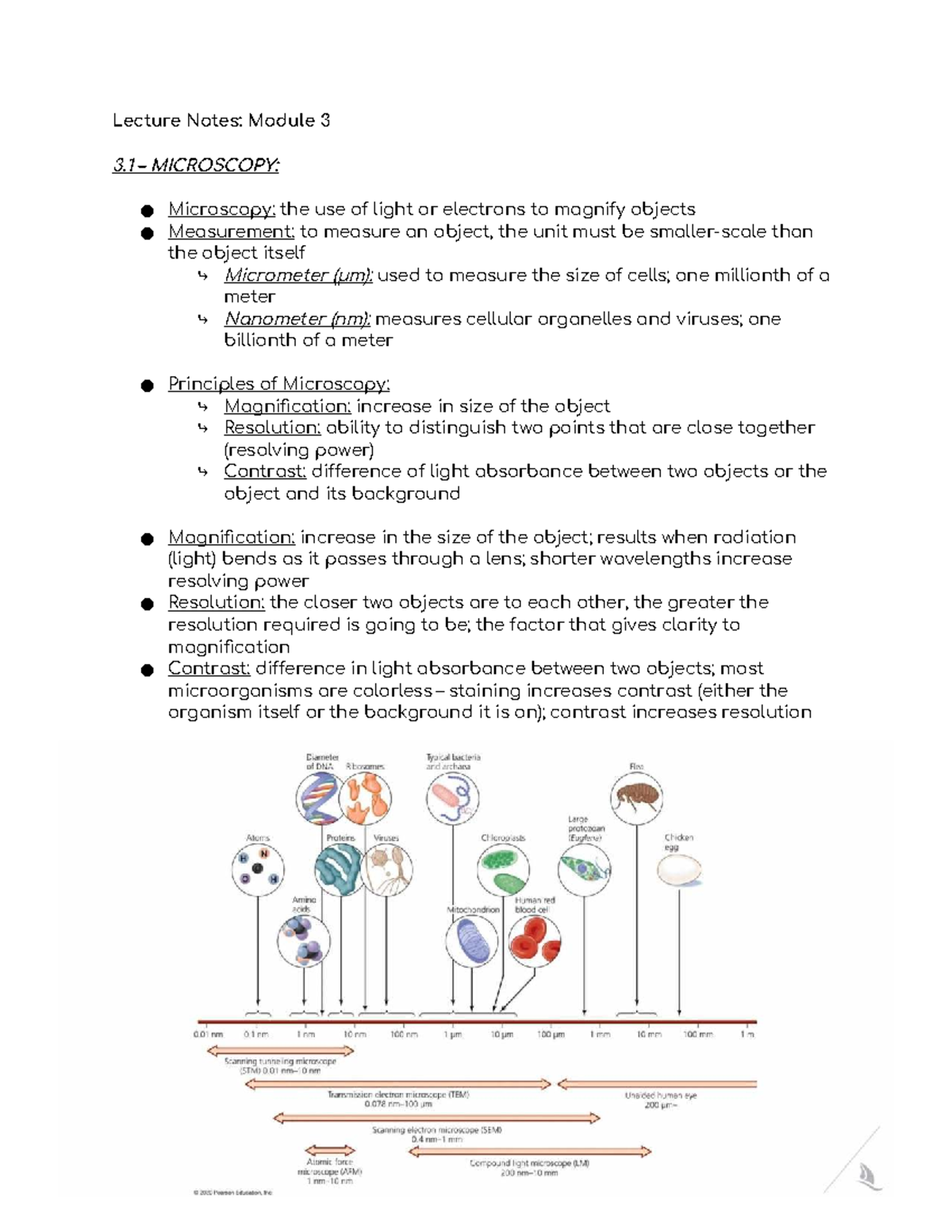 Lecture Notes: Module 3 - Microscopy & Staining Techniques - Studocu