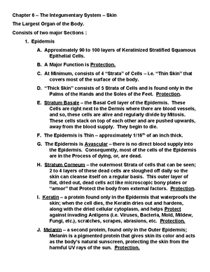 Chapter 5: Overview of Tissue Types in Human Anatomy - Chapter 5 ...